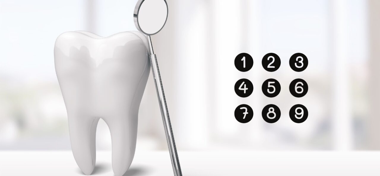 How Do Dentists Number Teeth: Best Answers to Teeth Numbers